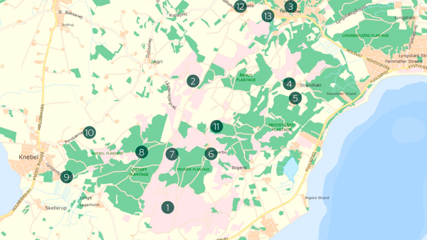 Randbøl Hede og Frederikshåb Plantage - naturguide - Die Dänische Amt ...